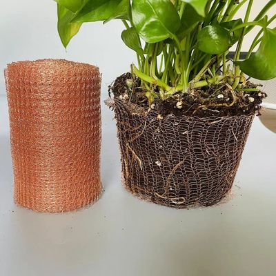 Quality Copper Knitted Wire Mesh & Copper Rodent Mesh factory from China